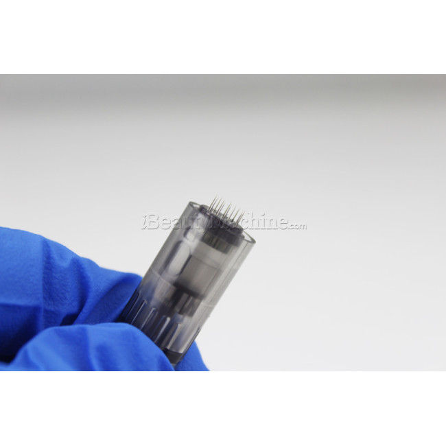 iBeautyPen™ 2S | Motorized Micro-Needle System | 12 Needle ...